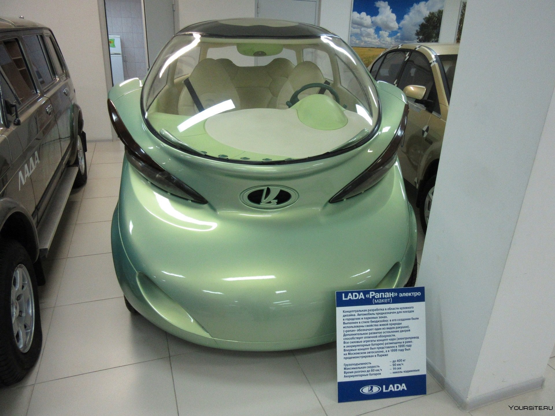 Лада рапан (69 фото) - hdpic картинки