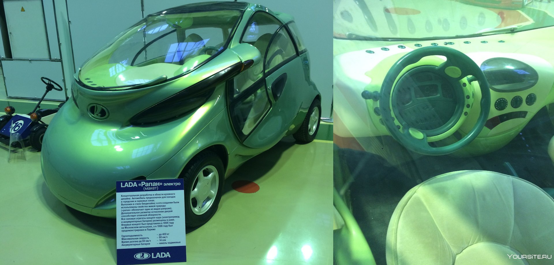 Лада рапан (69 фото) - hdpic картинки