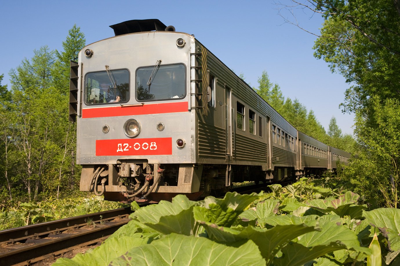 Дизель поезда серии д (85 фото) - hdpic картинки